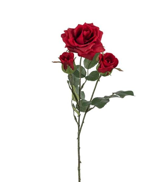 Kjøp RØDE ROSER - Mr Plant - Interiør fra Lykkehjørnet - 3967-80